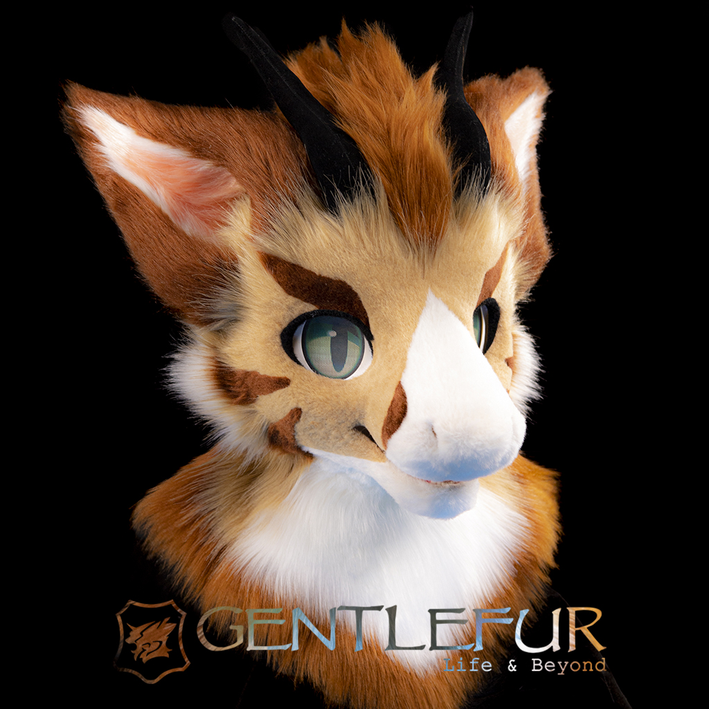 Fursuit Gallery